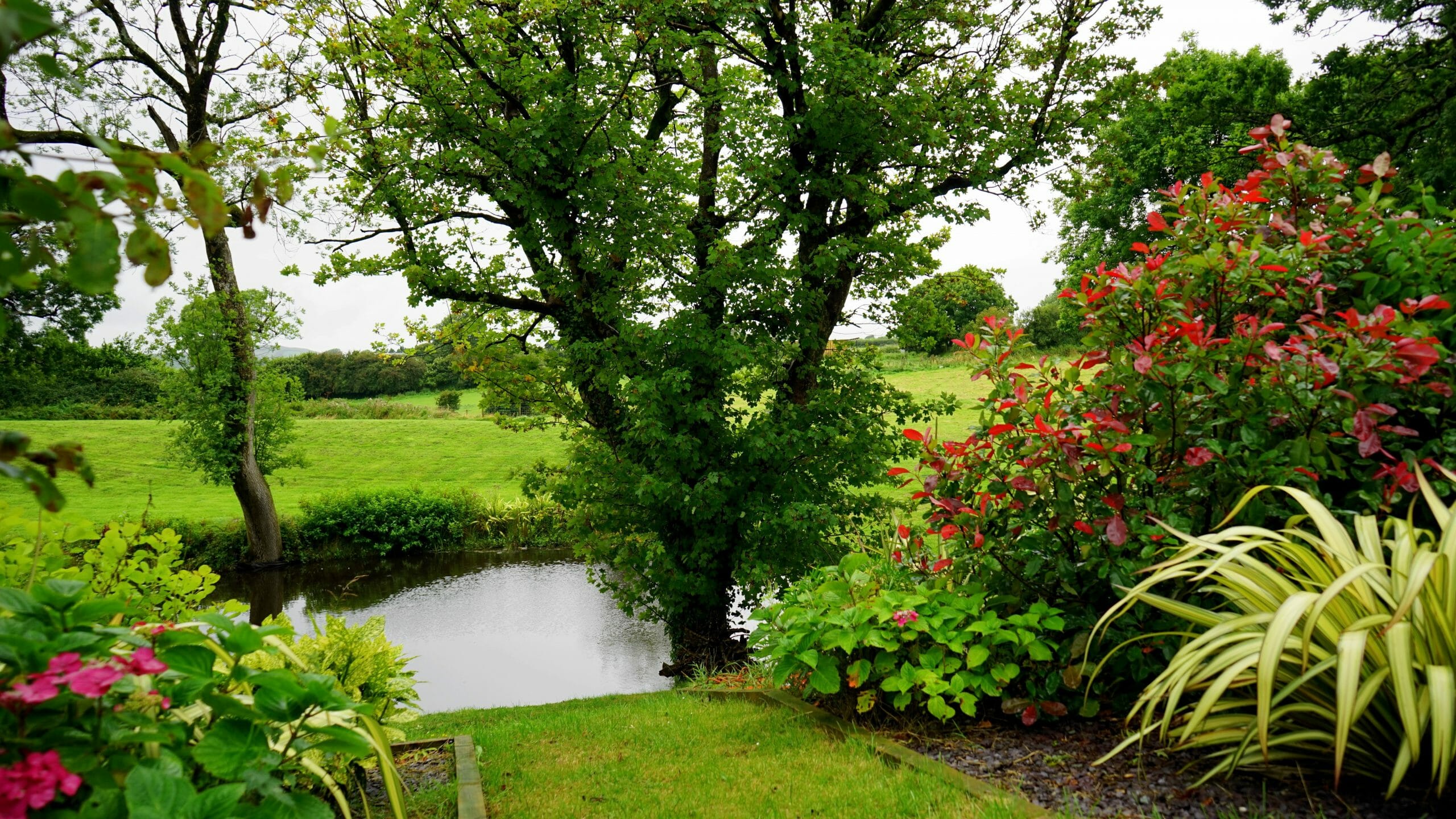Combating climate change through landscaping | Tracer Pool & Landscape