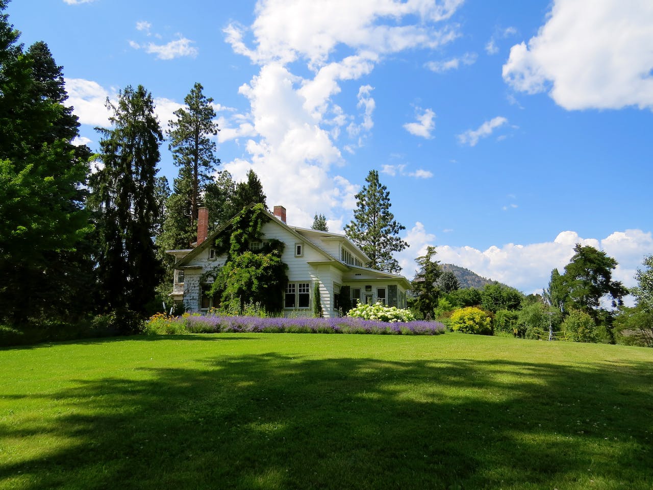 Types of Landscaping: A Guide to a Prettier Yard
